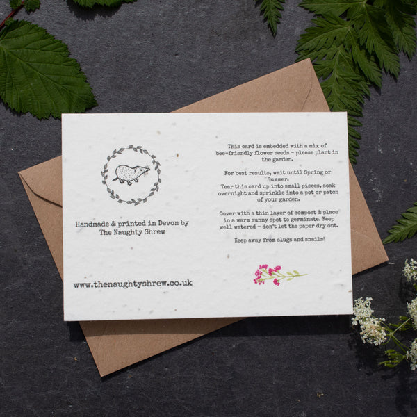 Plantable Greetings Card - Congratulations - The Naughty Shrew